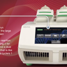 The T100™ Thermal Cycler | Bioradiations