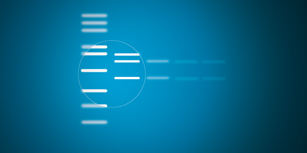 using-the-precision-plus-protein-westernc-standard-as-a-qc-tool-at-key ...