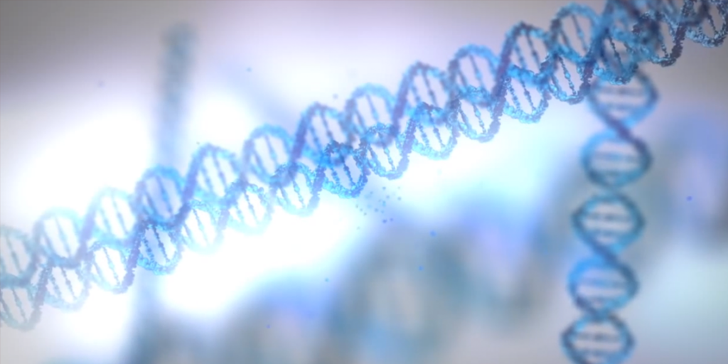 a-simple-method-for-obtaining-absolute-quantification-of-dna-molecules ...