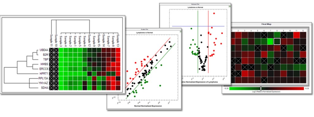 cluster_patterns | Bioradiations