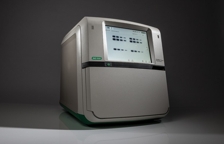 Bio Rad Developer Western Blot - The Best Developer Images Bio Rad Developer Western Blot - The Best Developer Images