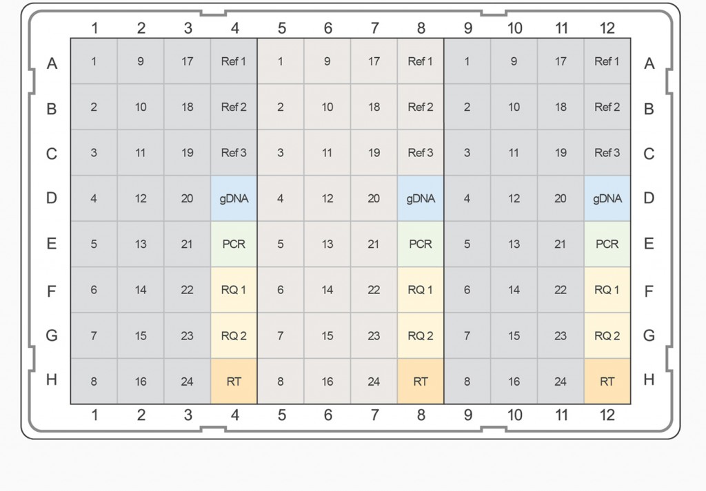 PrimePCR™ Pathway Analysis: Pathway Curation and Real-Time PCR Panel ...