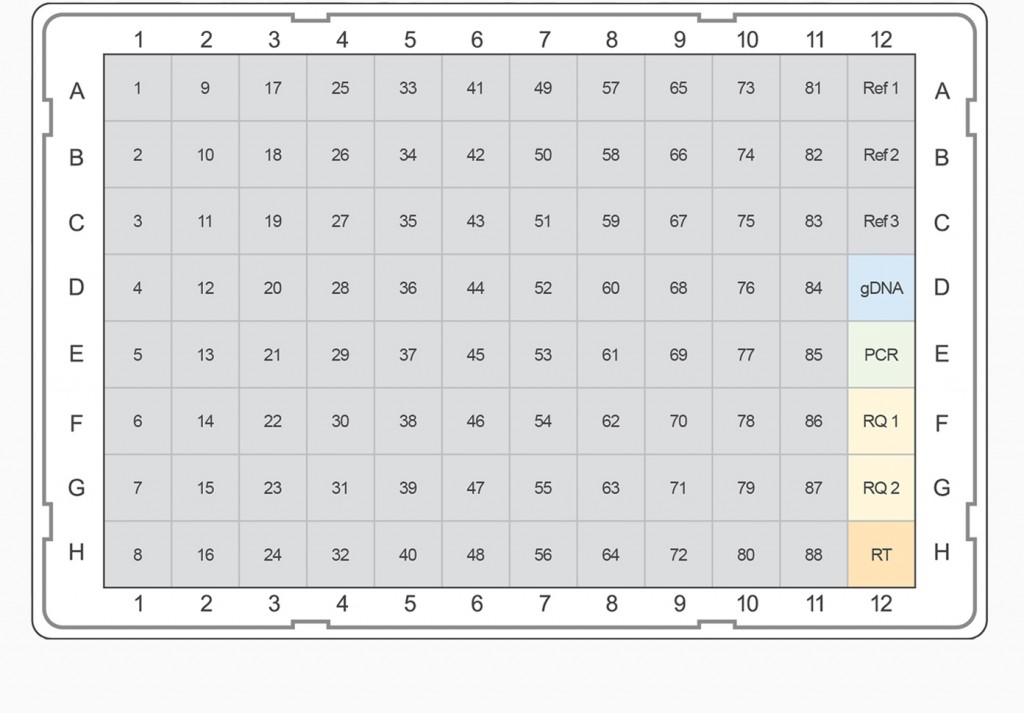 PrimePCR™ Pathway Analysis: Pathway Curation and Real-Time PCR Panel ...