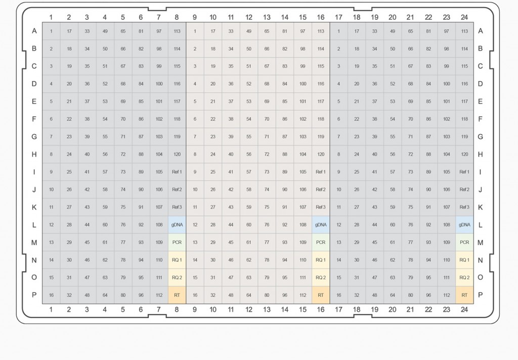 PrimePCR™ Pathway Analysis: Pathway Curation and Real-Time PCR Panel ...