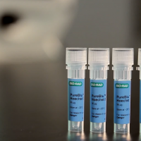 PureBlu™ DAPI Nuclear Staining Dye for Fixed Cells – A Fast Approach to Staining Nuclei ...