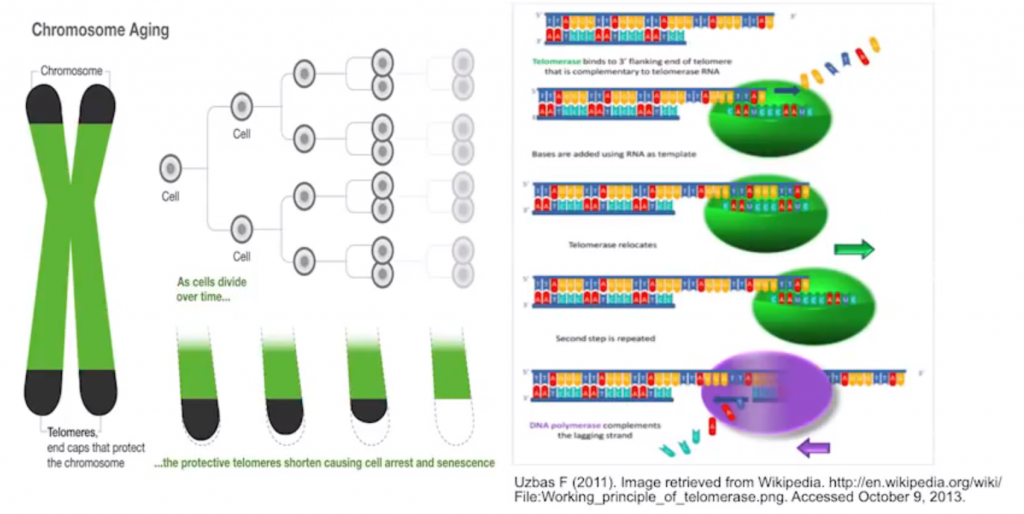 using-droplet-digital-pcr-for-cancer-and-liquid-biopsy-studies-webinar ...