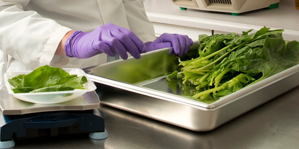 six-things-you-might-not-know-about-bio-rads-food-science-division-fsd ...