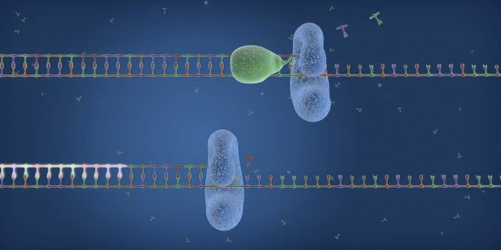 high-processivity-sso7d-fusion-polymerase-improves-qpcr-results-feature ...