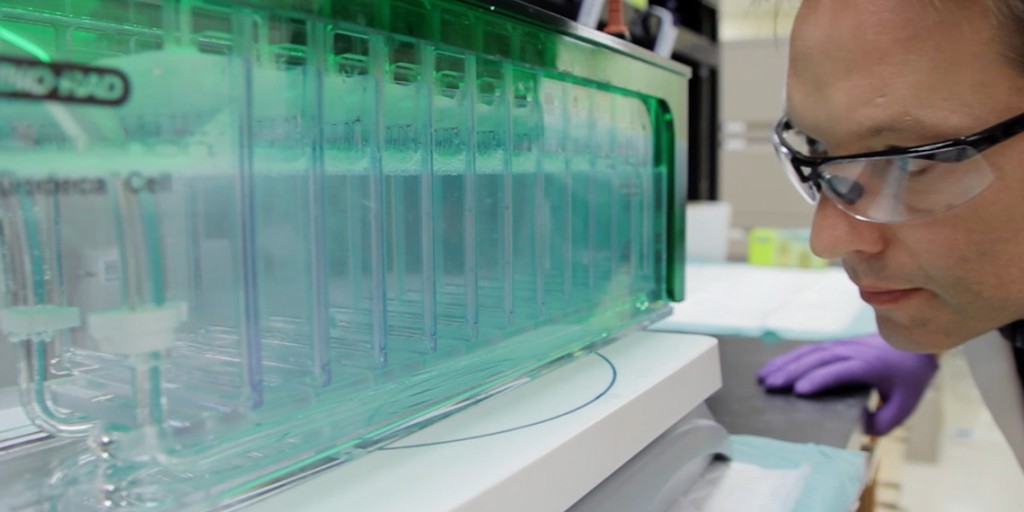 precisionAB-feature | Bio-Radiations