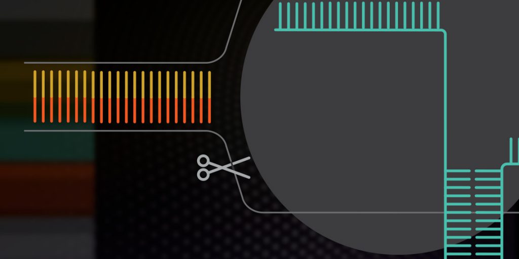 ddd-crispr-workflow-feature | Bioradiations