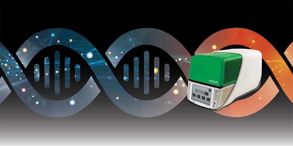 Real-time qPCR/PCR | Bioradiations