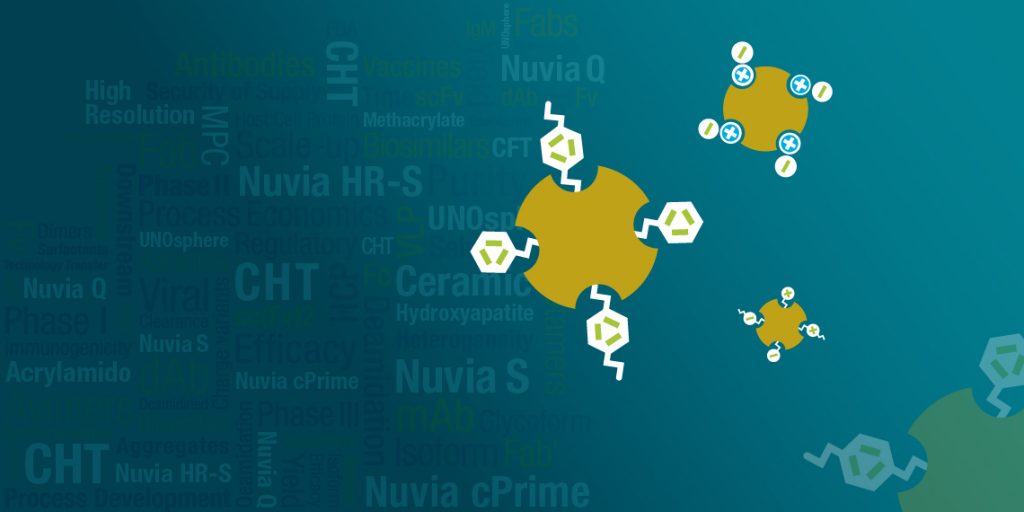 mixed-mode chromatography | Bio-Radiations