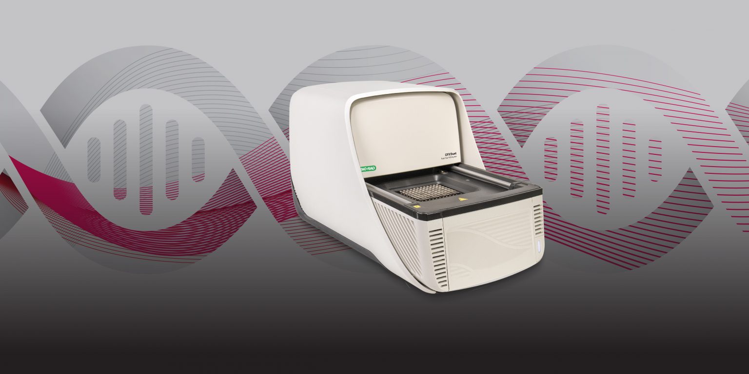 Bioradiations Real-time qPCR and PCR Videos | Bioradiations