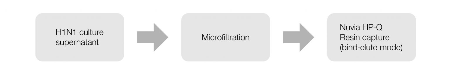 Single-Step Influenza Virus Purification | Bioradiations