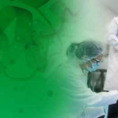 Bioradiations - Bio-Rad's Online Technical Resource