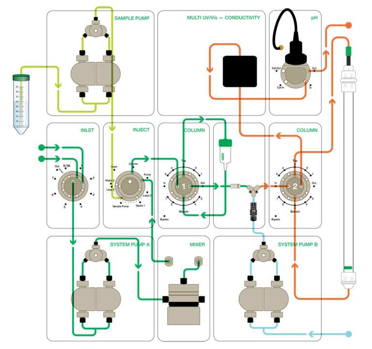 Automated Monoclonal Antibody Purification | Bio-Radiations