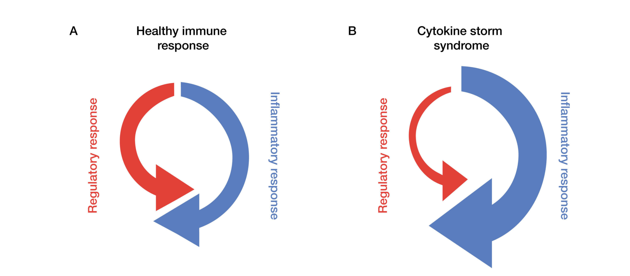 CAR T-Cell Therapy and the Cytokine Storm | Bio-Radiations
