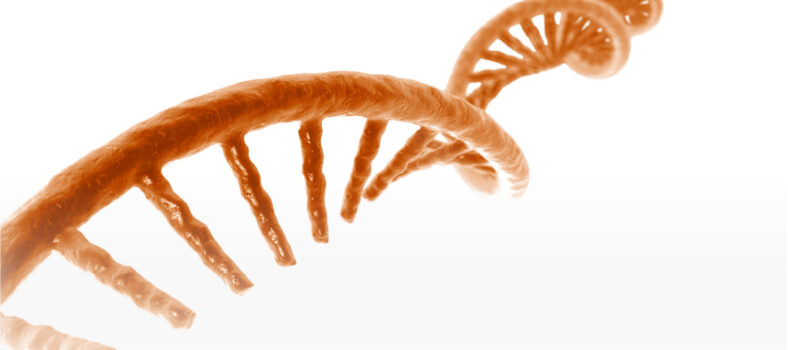 Bioradiations - Bio-Rad's Online Technical Resource