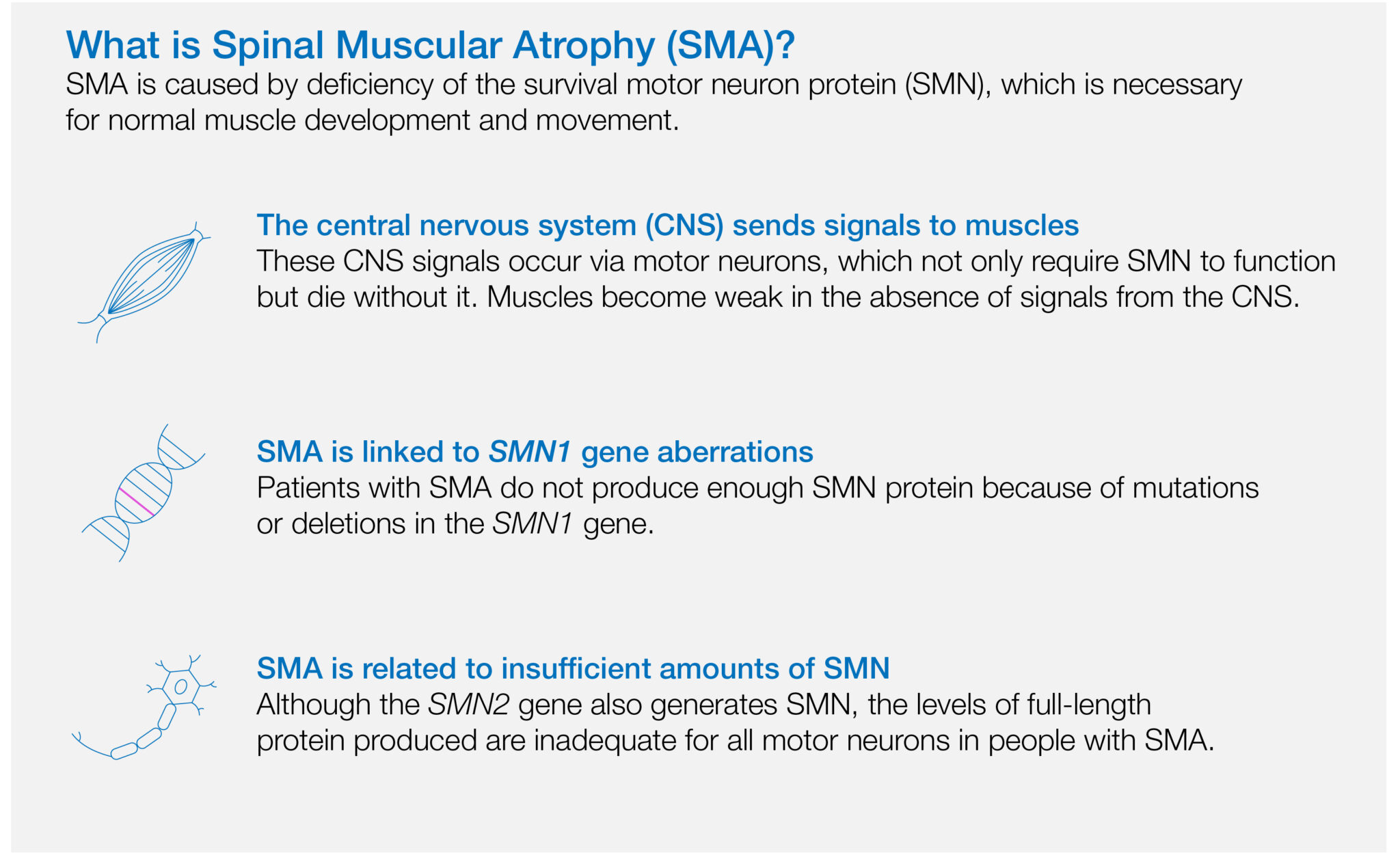 Lab to Clinic: The First Gene Therapy for SMA | Bio-Radiations