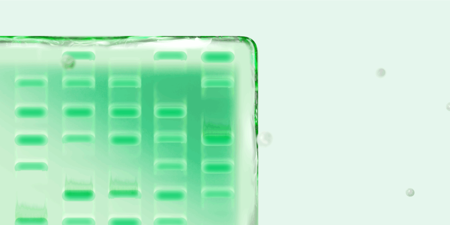 Introducing the GelDoc Go Imaging System | Bio-Radiations